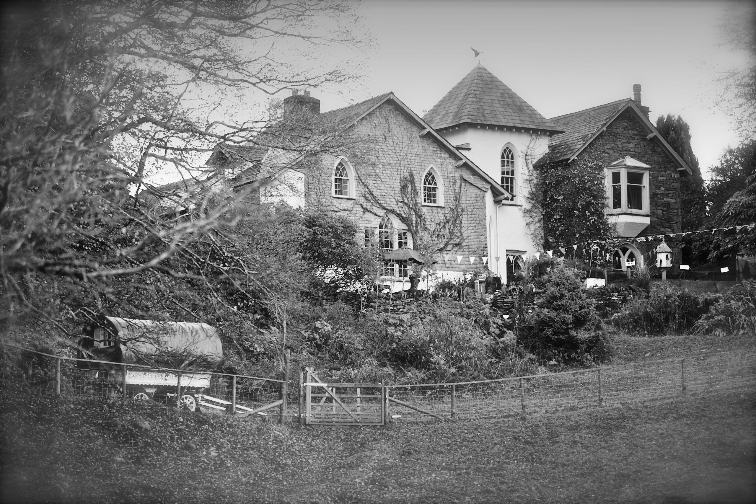 Randy Pike | The Jumble Room